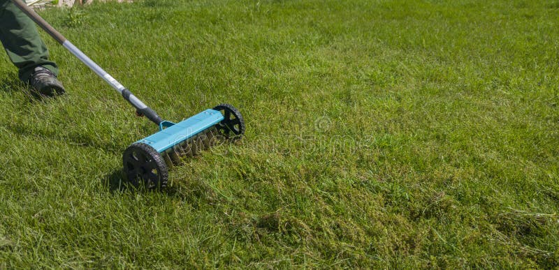 Hand Scarifier for Lawn in Action Stock Image - Image of scarify ...