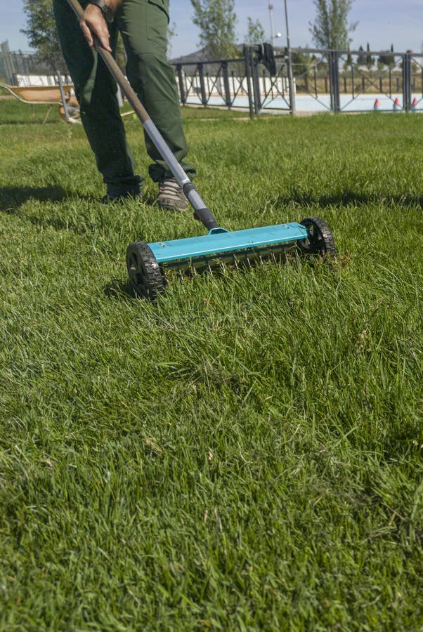 Hand Scarifier for Lawn in Action Stock Image - Image of bright, metal ...