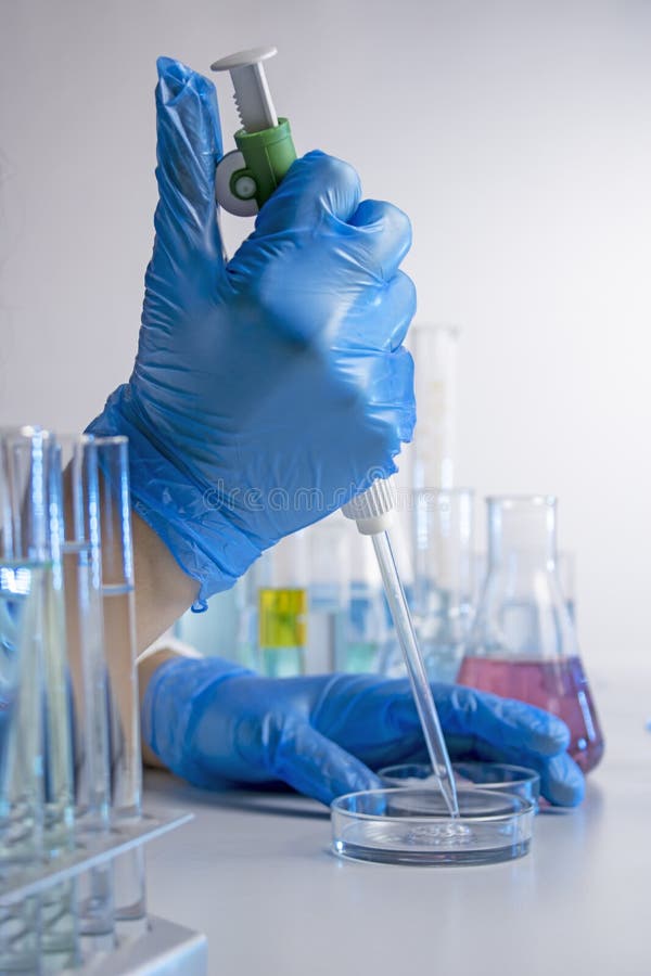 Hand of a Scientist Taking Samples with a Pipette in Laboratory Stock ...