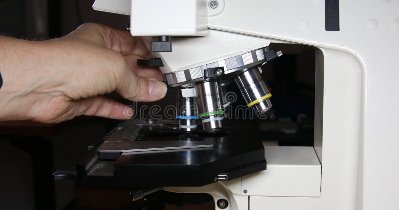 Scientists Turns Lenses of Microscope Looking at Sample Stock Video ...