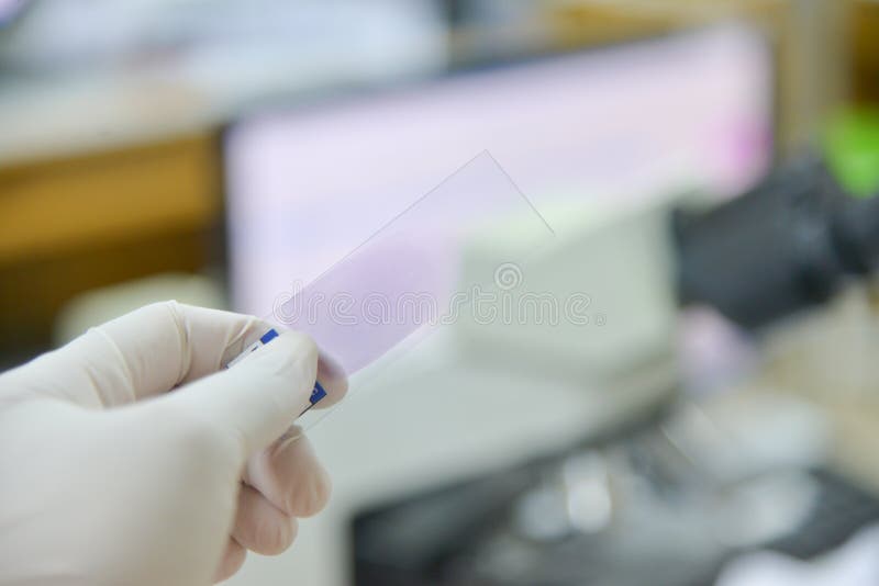 Hand Scientist Working in Laboratory. Stock Image - Image of medicine ...