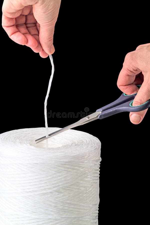 Hand with Scissors Cutting Long Hair Stock Photo - Image of occupation ...