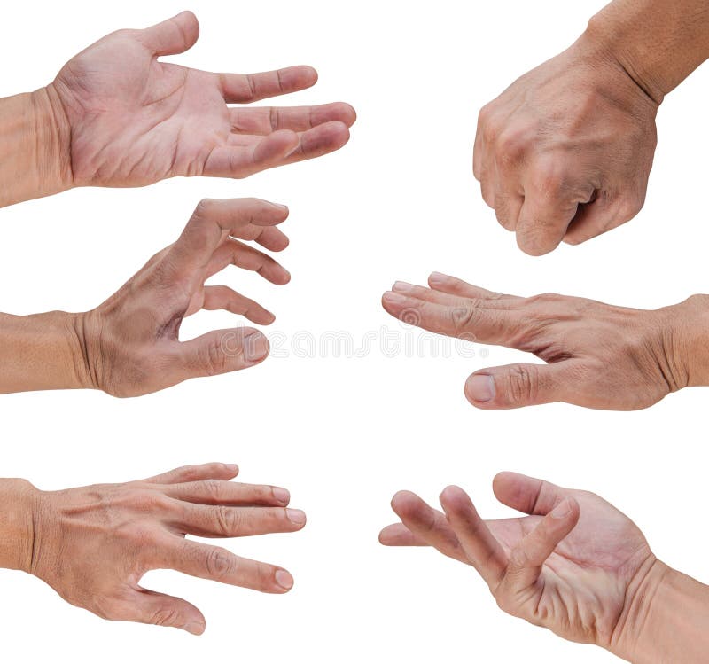 Hand Set of Human in Isolate on White Background Stock Photo - Image of ...