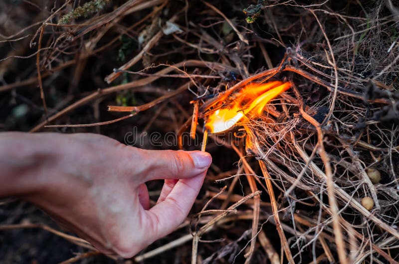 Hand Setting Fire To Dry Grass and Branches with a Lighted Match Stock ...