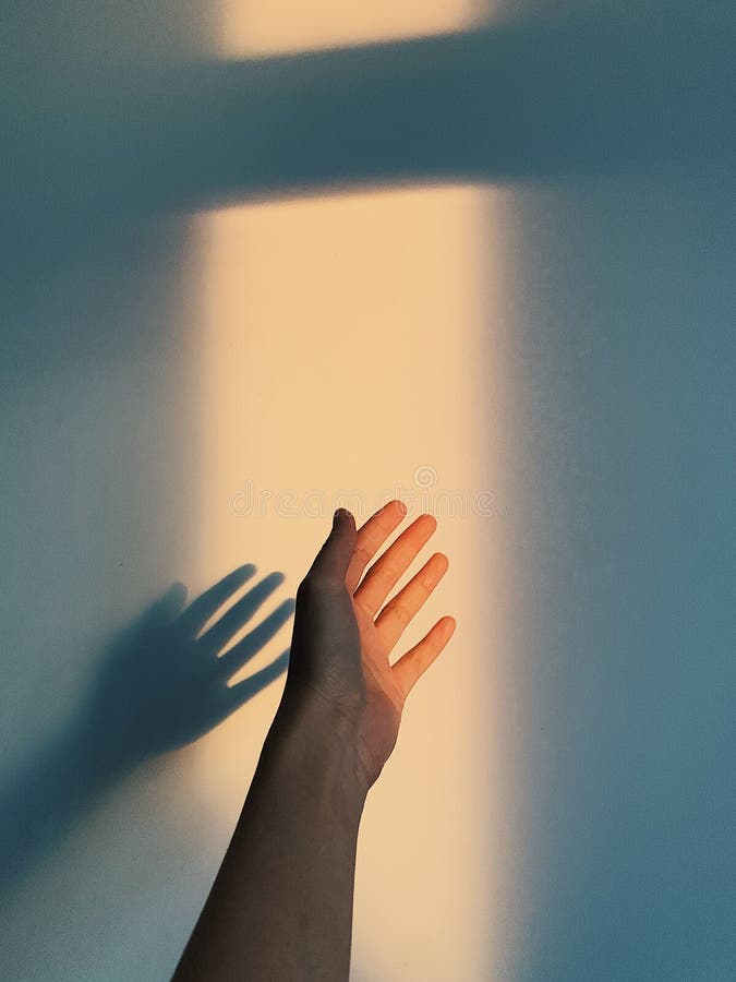 Hand Shadow Aesthetic Background Stock Image - Image of light, hand ...