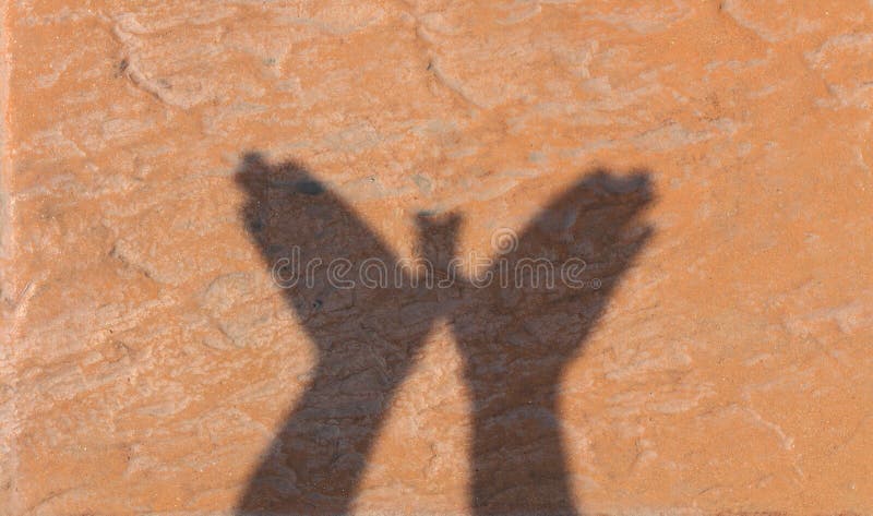 Hand shadow. stock image. Image of nature, background - 49877807