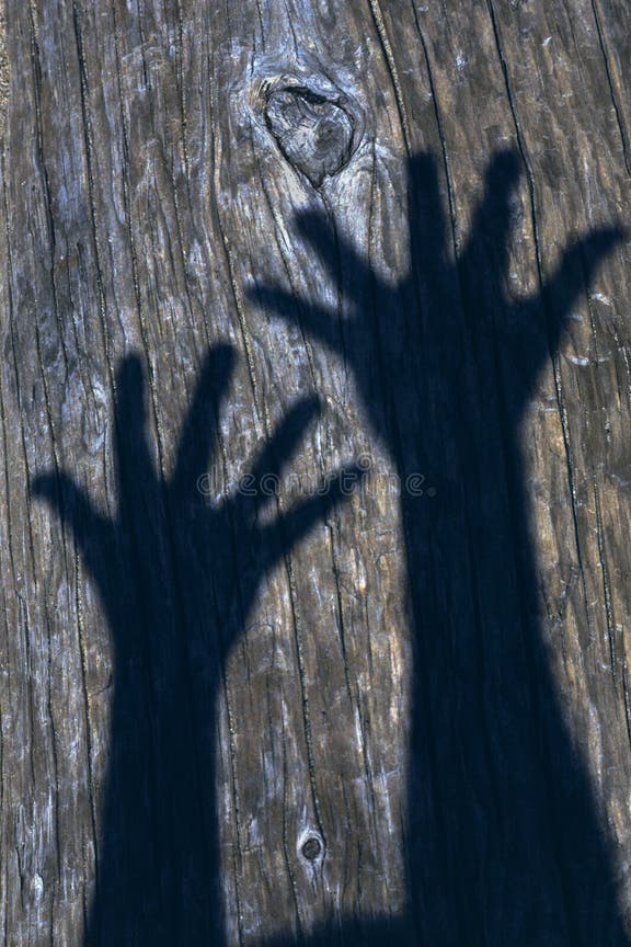 Hand Shadows stock image. Image of extra, hole, reaching - 14056667