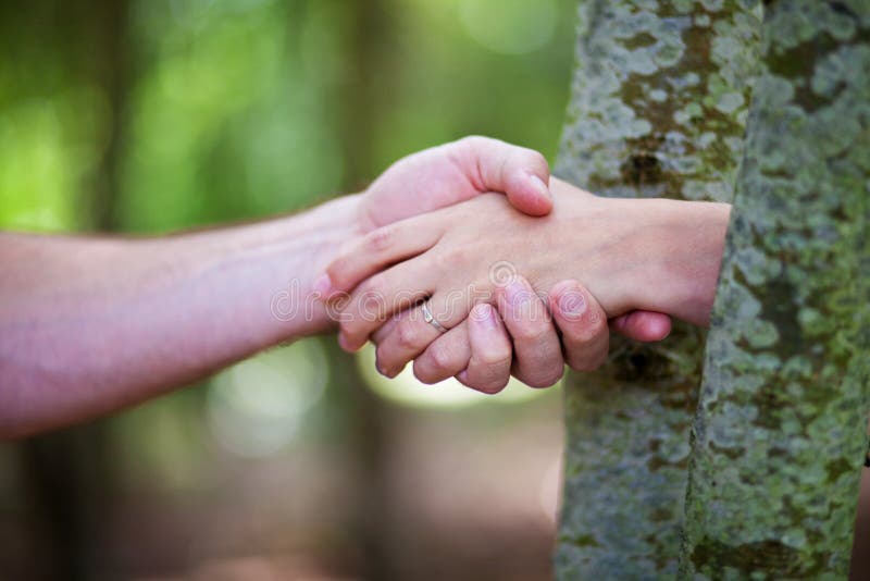 Hand shake stock image. Image of adult, hands, handshake - 18768459