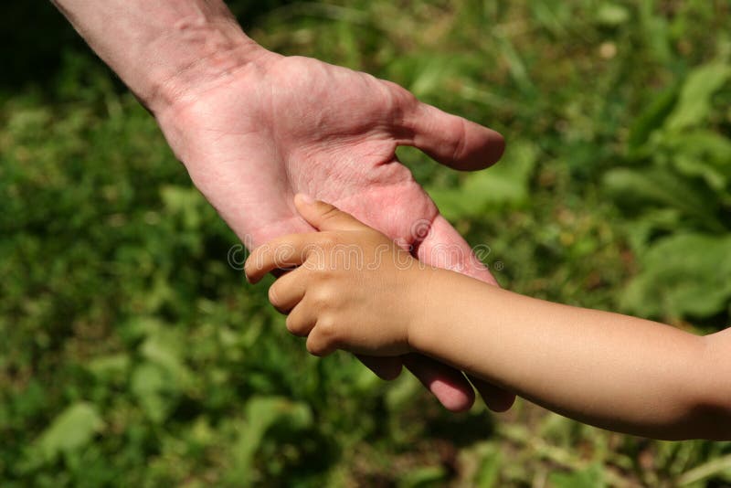 Hand shake stock photo. Image of hand, adult, child, small - 5395176