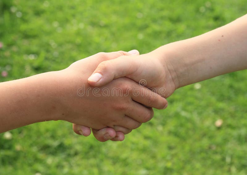 Hand shake stock image. Image of agreement, shake, child - 42630587