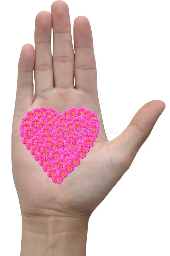 Hand shaped flowers. stock photo. Image of blossom, create - 27132770