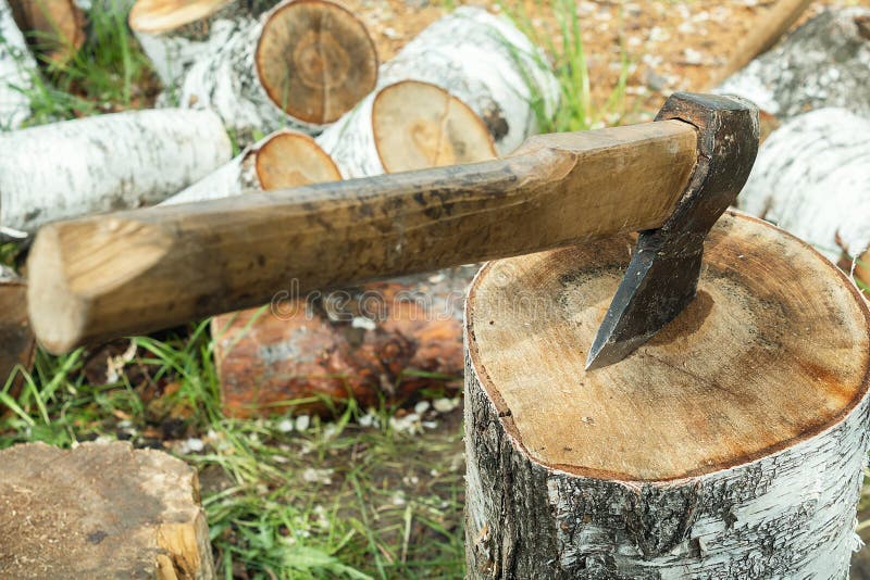 1,298 Ax Cutting Wood Stock Photos - Free & Royalty-Free Stock Photos ...