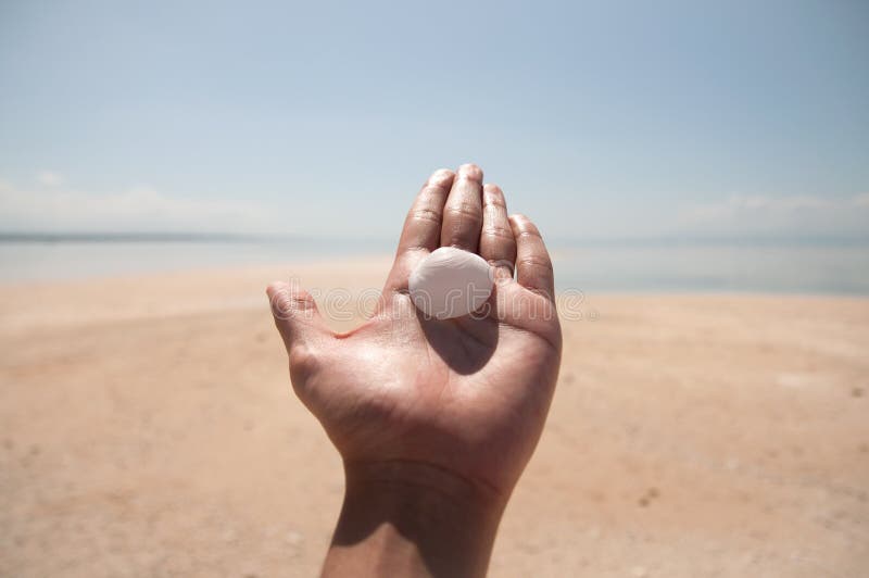Hand & Shell stock image. Image of nature, indonesia - 66892621