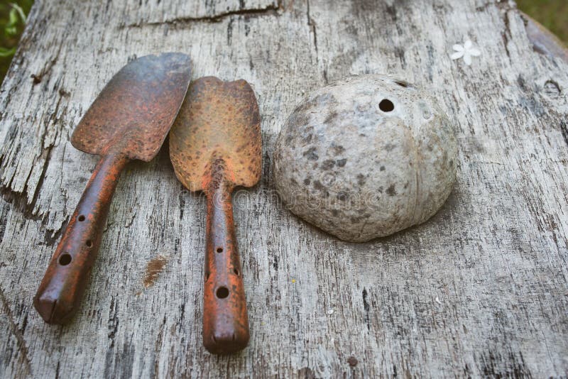 Hand shovel stock photo. Image of gardening, organic - 56141932