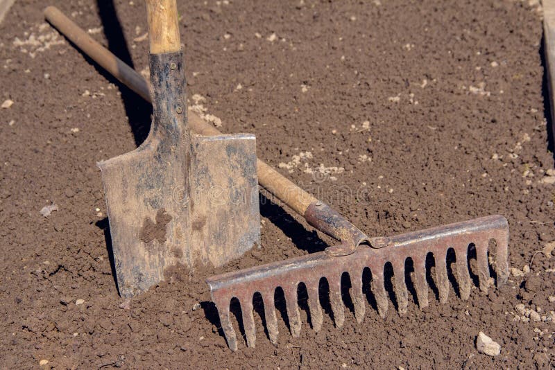 Hand Shovel and Rake. Garden Tools before Spring Plantings. Hand Tools ...