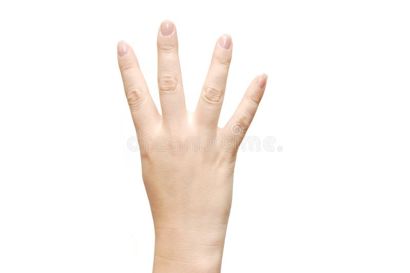 Hand show the number four stock photo. Image of number - 10862874