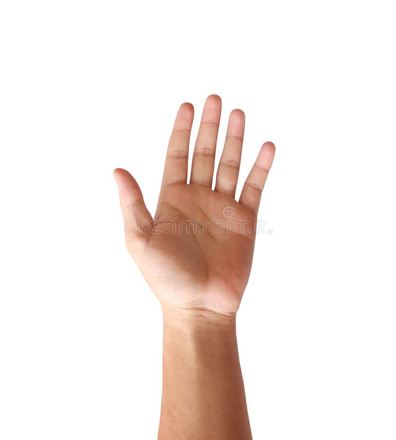 Hand showing five count stock image. Image of palm, stretch - 71300587
