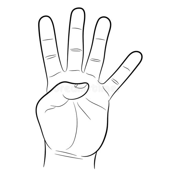 Hand Showing Four Fingers on White of Vector Illustrations Stock Vector ...