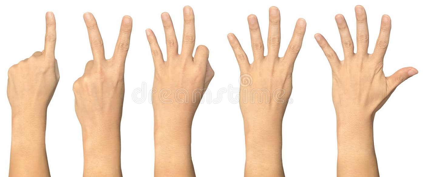 One To Five Fingers Count Hand Gesture Isolated Stock Illustrations ... One To Five Fingers Count Hand Gesture Isolated Stock Illustrations ...