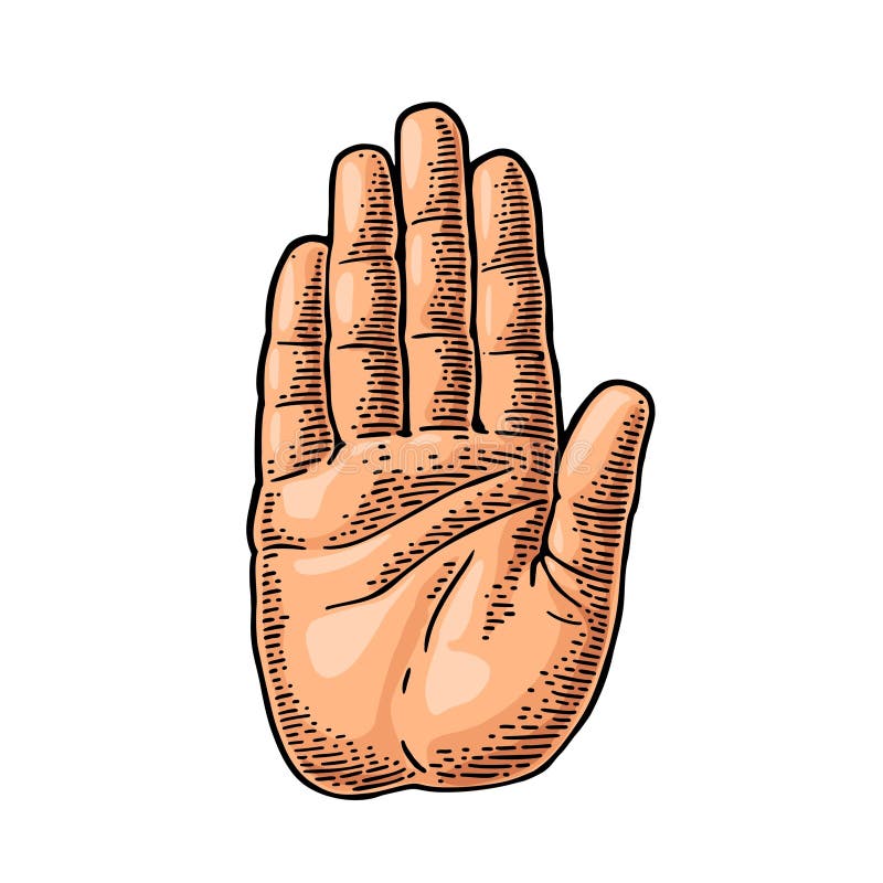 Hand Showing Stop Gesture. Front View Stock Illustration - Illustration ... Hand Showing Stop Gesture. Front View Stock Illustration - Illustration ...