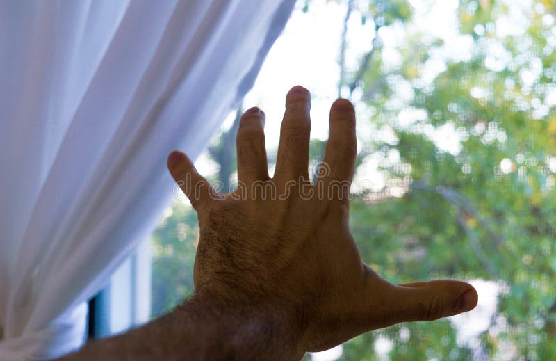 Hand Showing Towards the Window Stock Image - Image of showing, focus ...