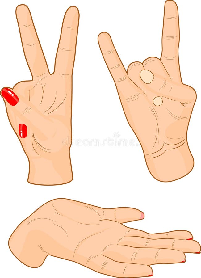 Hand signs. stock vector. Illustration of isolated, palm - 6294455