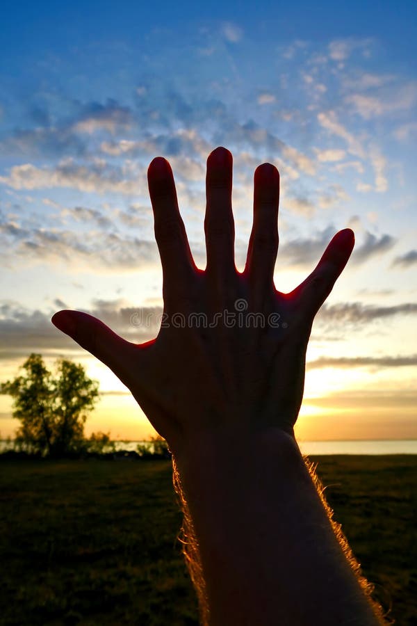 Hand Silhouette on Sunset stock image. Image of sunset - 65312617