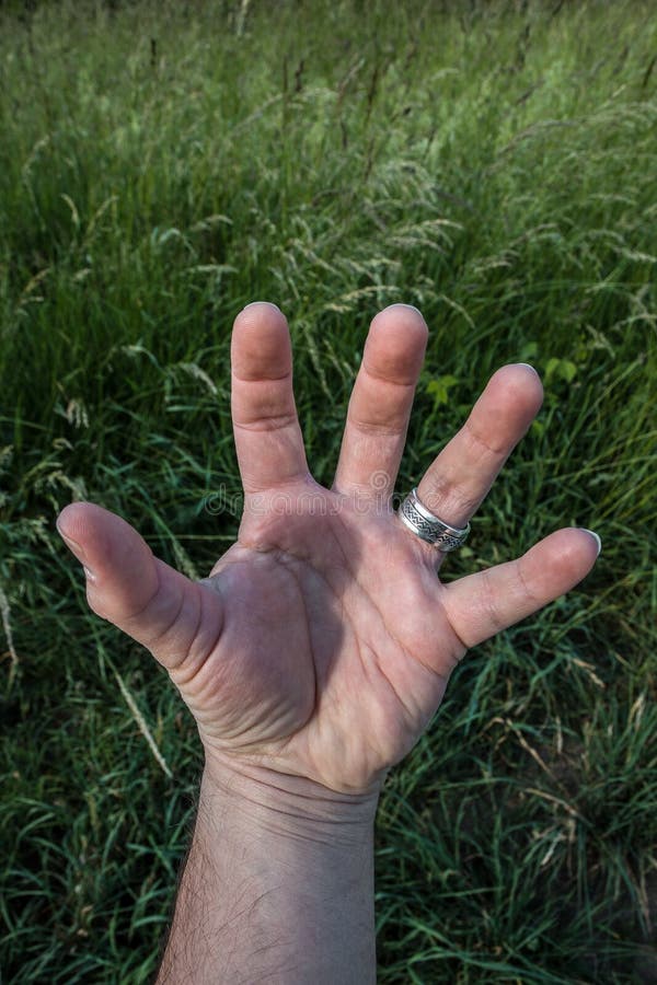 A Hand with Silver Ring before the Meadow Stock Image - Image of human ...