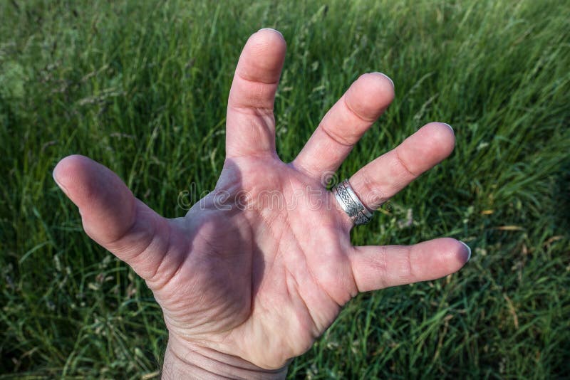 A Hand with Silver Ring before the Meadow Stock Photo - Image of finger ...