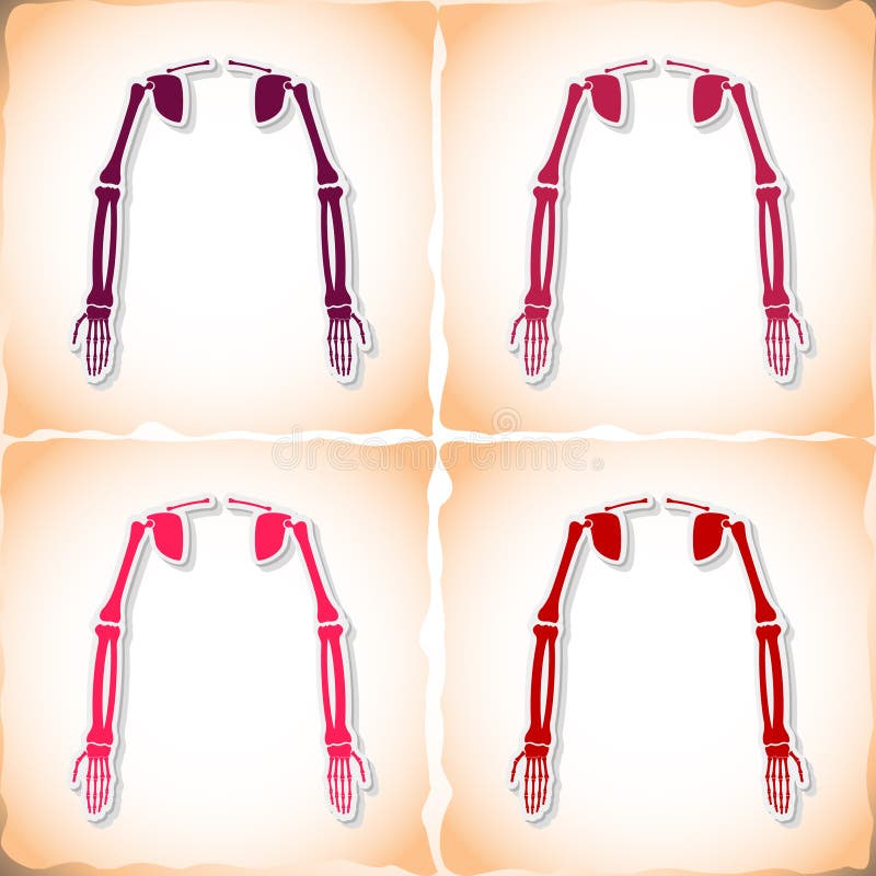 Hand Skeleton. Flat Sticker with Shadow on Old Paper Stock Vector ...