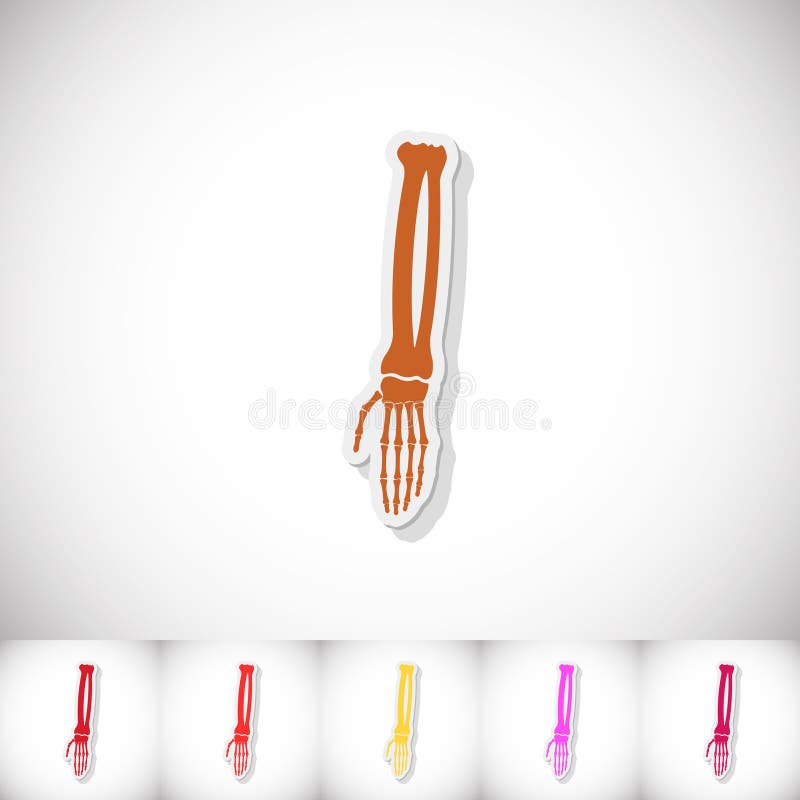 Hand Skeleton. Flat Sticker with Shadow on White Background Stock ...