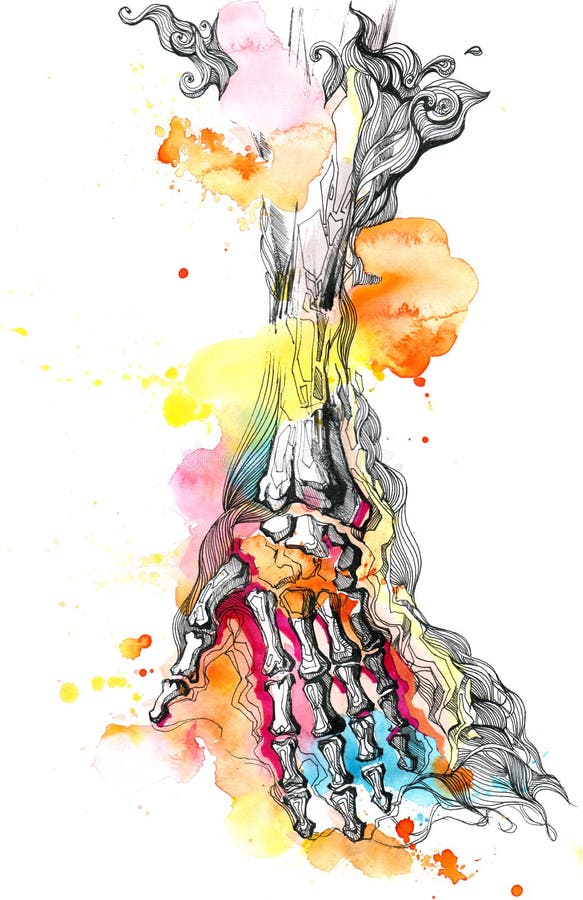 Human Skeleton Hand Front Stock Illustrations – 533 Human Skeleton Hand ...