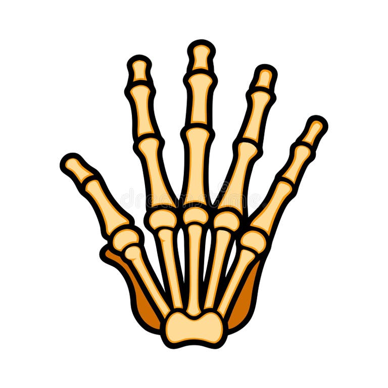 Skeleton Palm Vector Stock Photos - Free & Royalty-Free Stock Photos ...