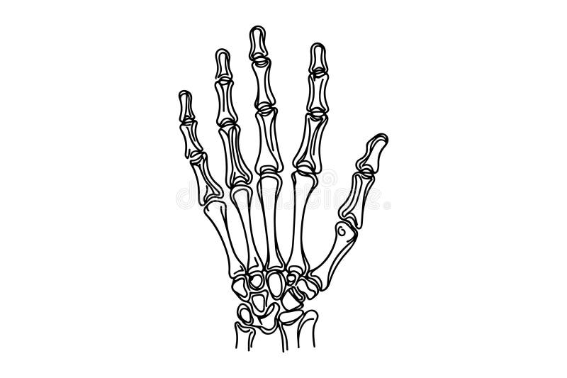 Hand Skeleton in Single Line Style. Vector Illustration. Stock Vector ...