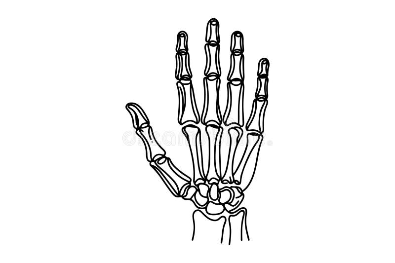 Hand Skeleton in Single Line Style. Vector Illustration. Stock Vector ...