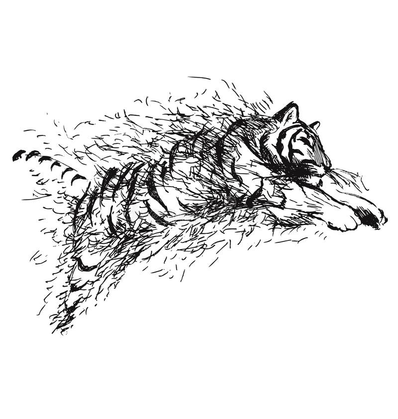 Leaping tiger stock vector. Illustration of print, vector - 94222026