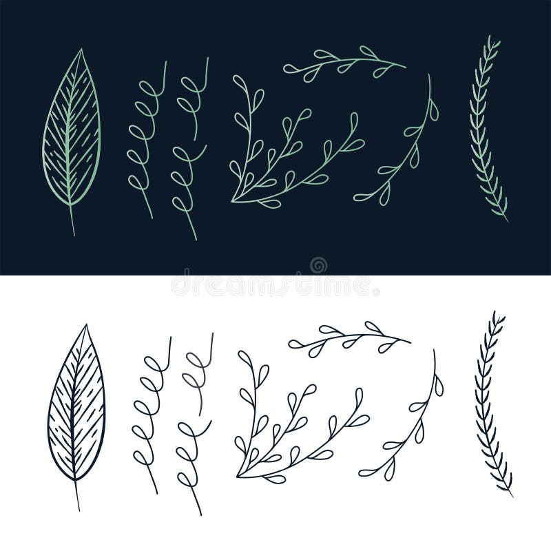 Hand Sketched Floral Design Elements, Flowers and Leaves for Text ...