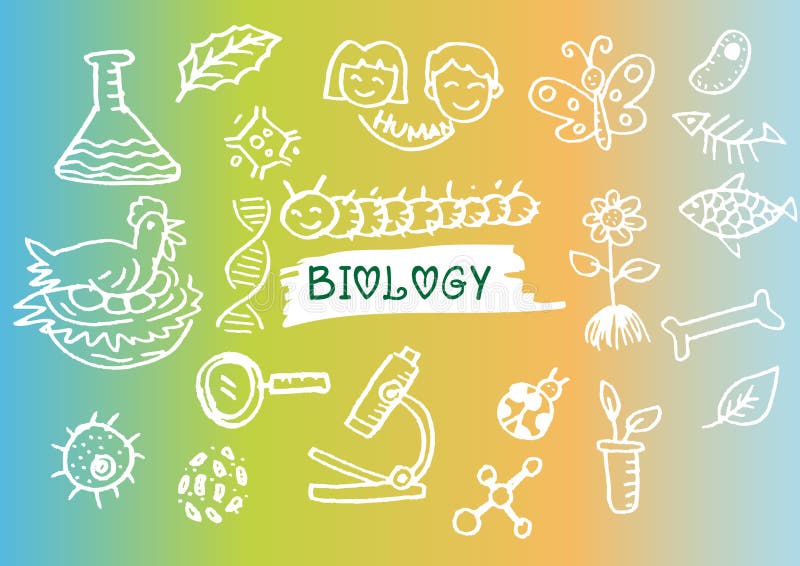 Hand sketches of biology. stock vector. Illustration of study - 95183282
