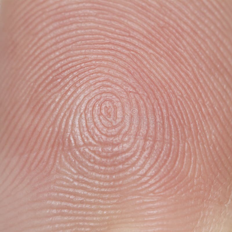 Hand Skin Texture for Pattern and Background Stock Image - Image of ...