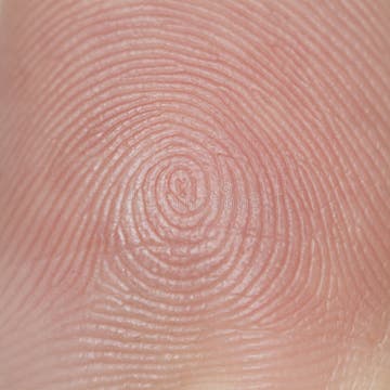 7,122 Human Hand Skin Texture Stock Photos - Free & Royalty-Free Stock ...