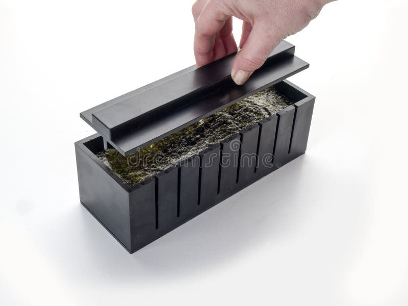 Smooth Lid for Squeezing Sushi in a Cut Box for Makis Stock Image ...