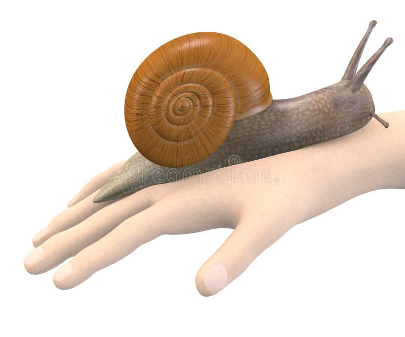 Hand with snail stock illustration. Illustration of male - 24851584
