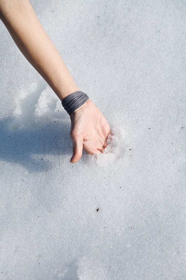 Hand into snow stock image. Image of hand, lifestyle - 10716467