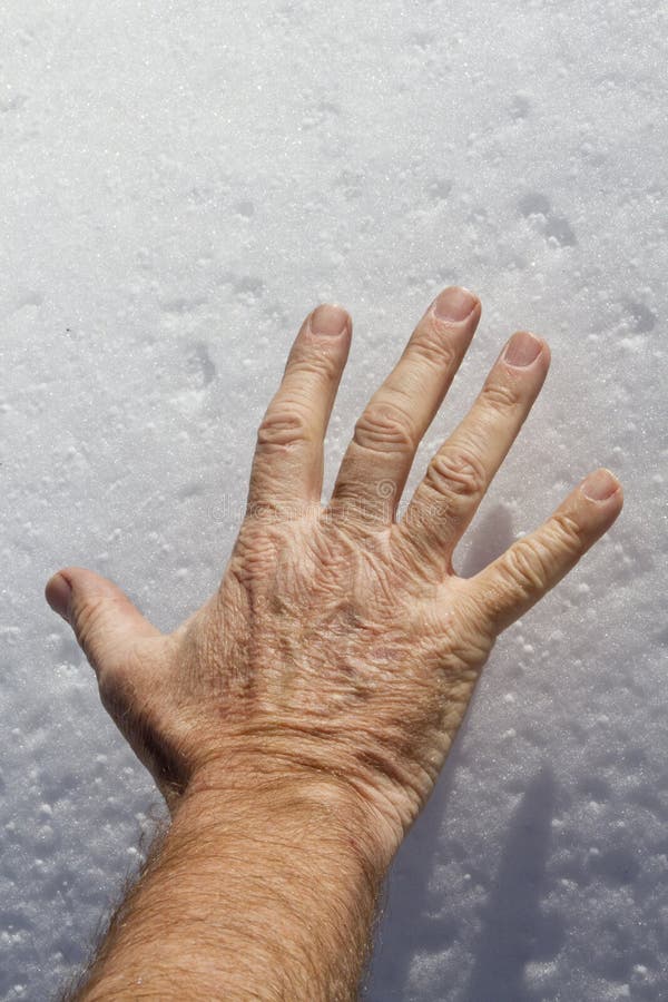 Hand on snow stock photo. Image of sunshine, winter, snow - 26910058
