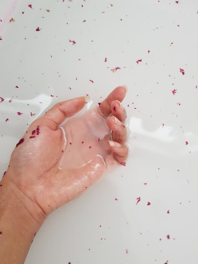 Hand Soak in Water Flower-scrap Milk Bath Stock Photo - Image of water ...
