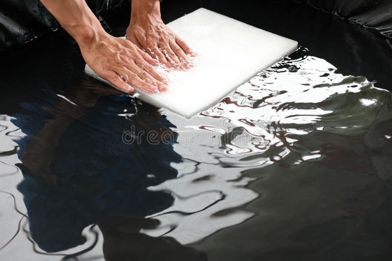 The Process Of Soaking The Sponge Stock Photo - Image of sponges, green ...