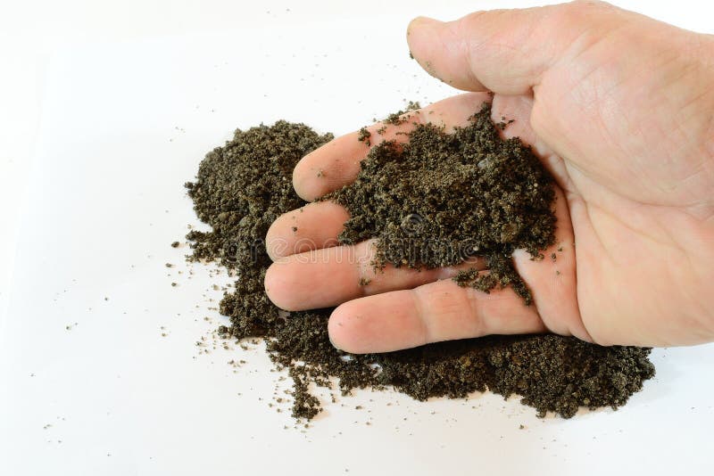Hand with soil stock photo. Image of environment, botany - 19766080