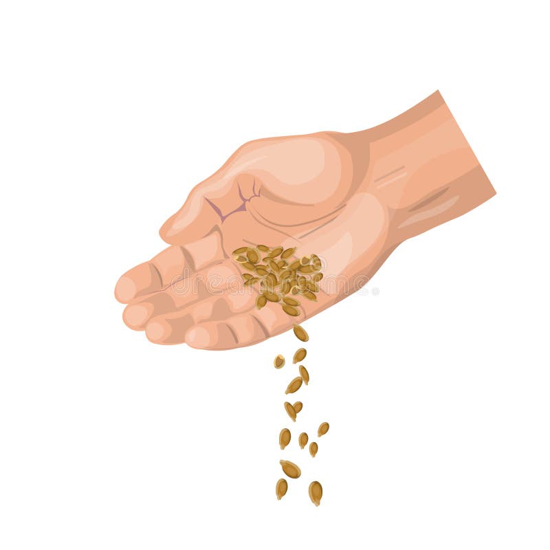 1+ Man hand grain handful Free Stock Photos - StockFreeImages 1+ Man hand grain handful Free Stock Photos - StockFreeImages