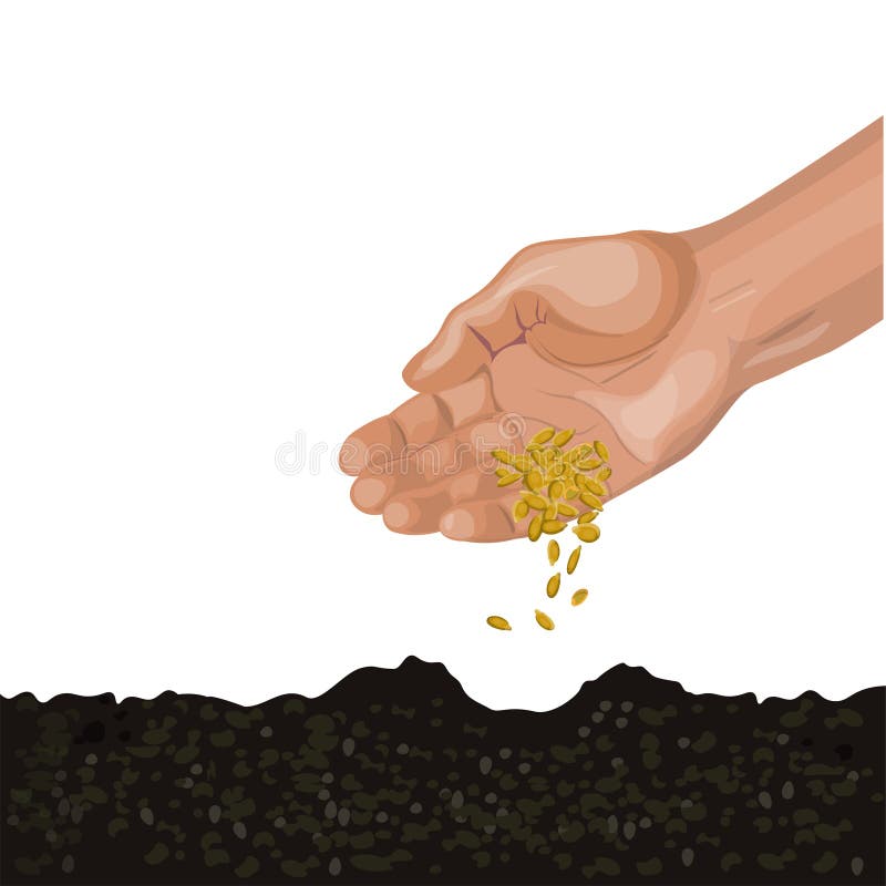 Sowing Seeds - Sower Sows Seed Stock Illustration - Illustration of ...