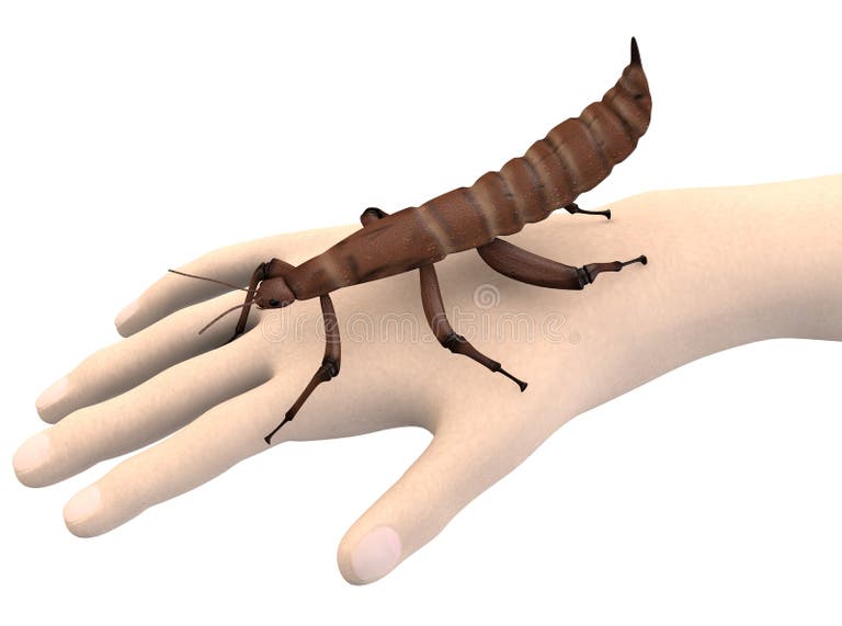 Hand with spectre insect stock illustration. Illustration of hold ...